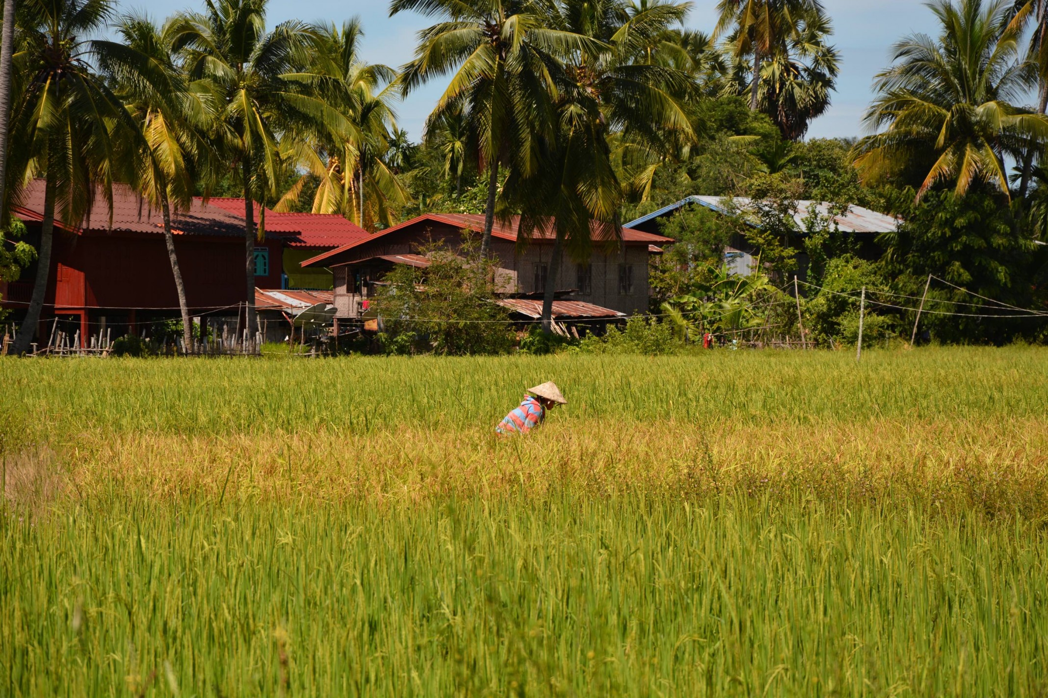 Don Khon travel guide Travelfish.org