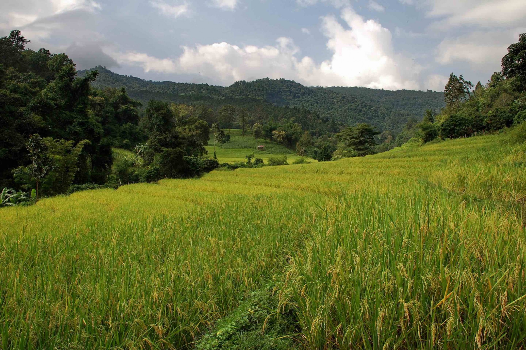 Doi Inthanon travel guide Travelfish.org